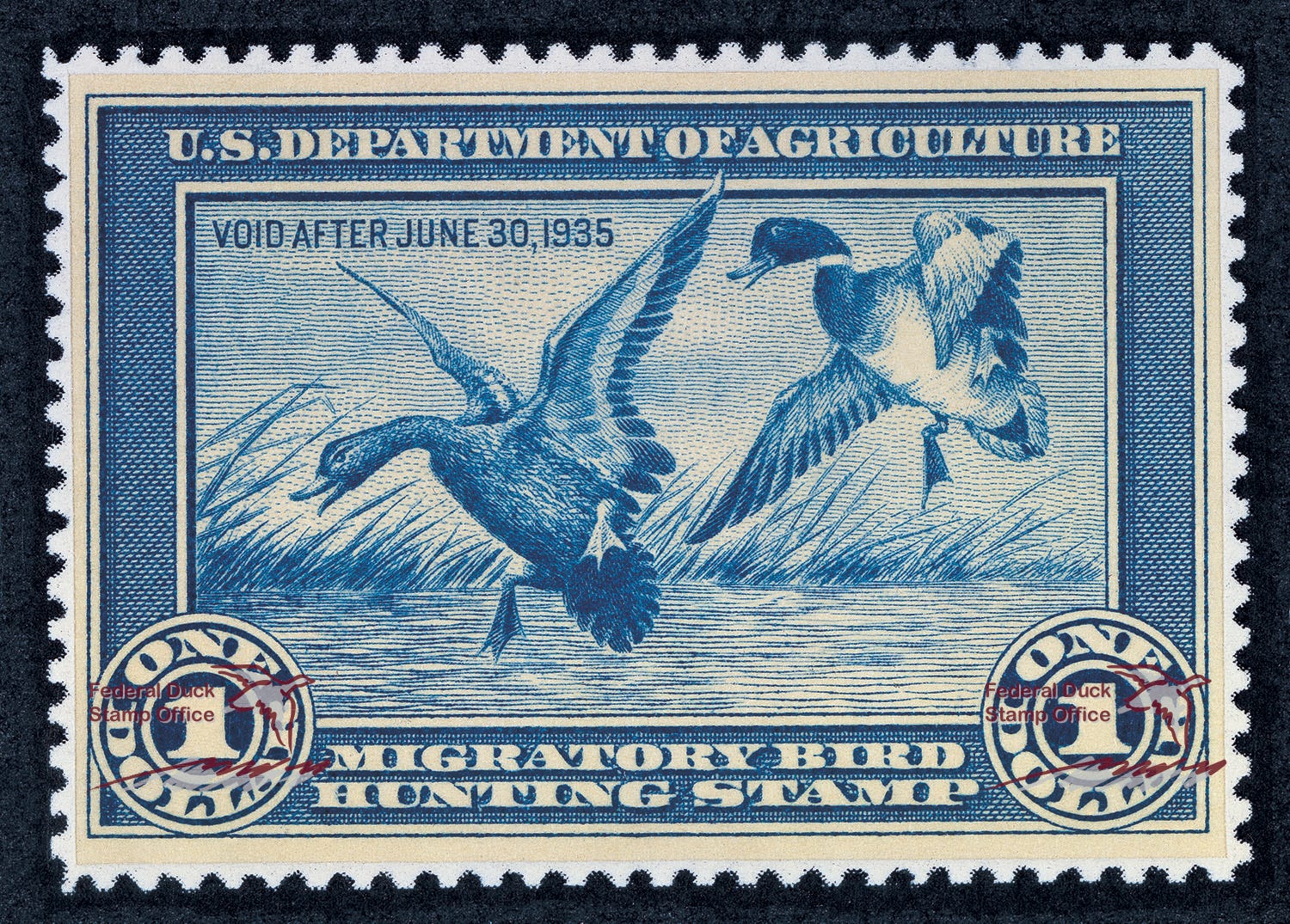 The Duck Stamp: Jay "Ding" Darling’s Genius Gift to American Wildlife ...