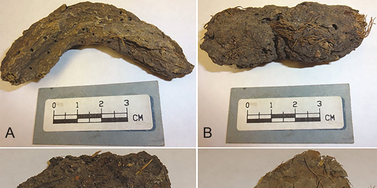 What Ancient Feces Reveal About Health in Pre-Columbian Mexico