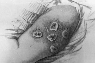 The Forgotten Side of Medicine | A Midwestern Doctor | Substack