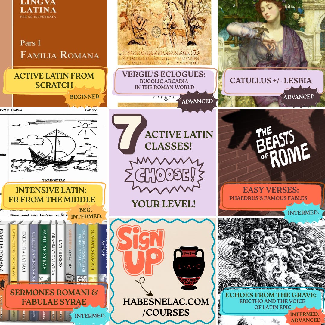 What Should We Do About A.I. Latin? - Lupus Alatus