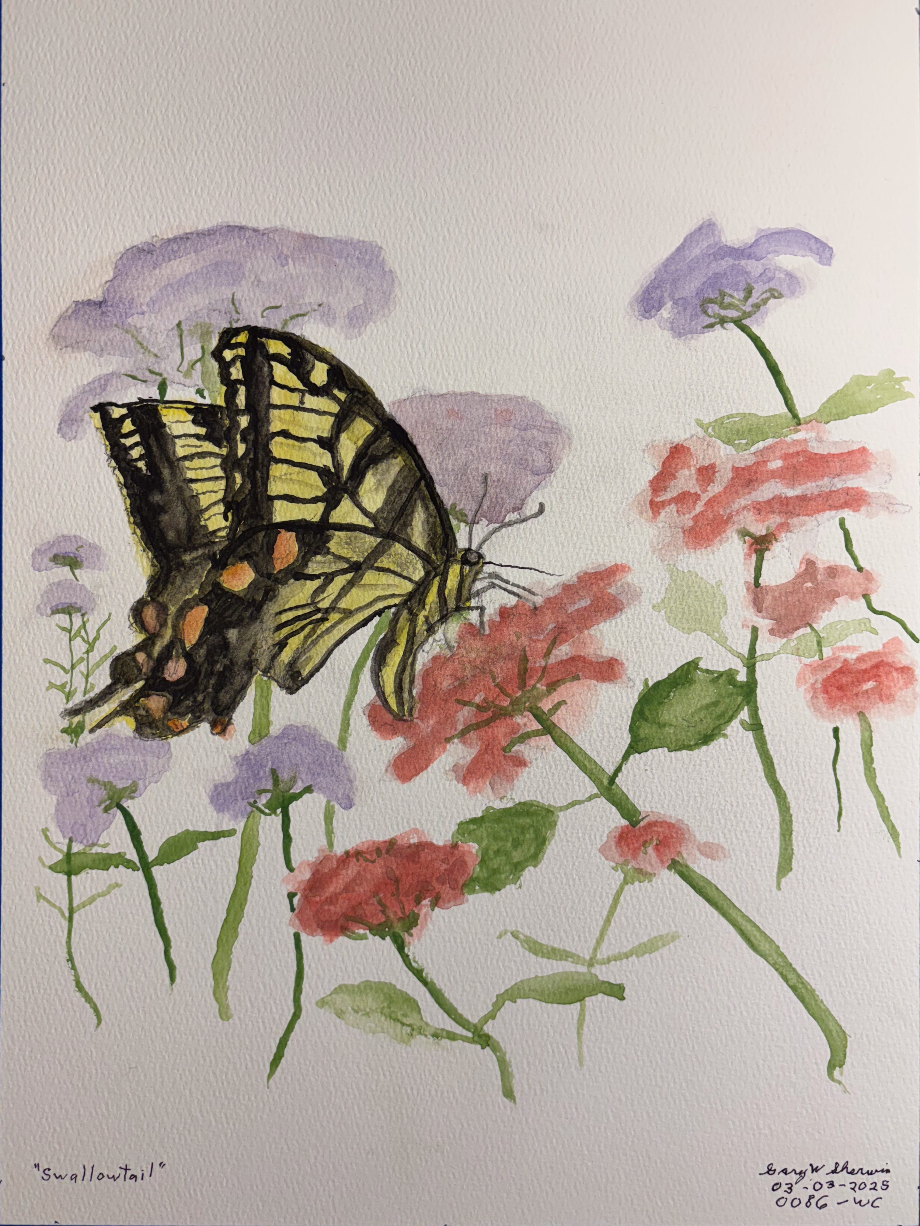 Swallowtail - by Gary W. Sherwin - Gary’s Substack