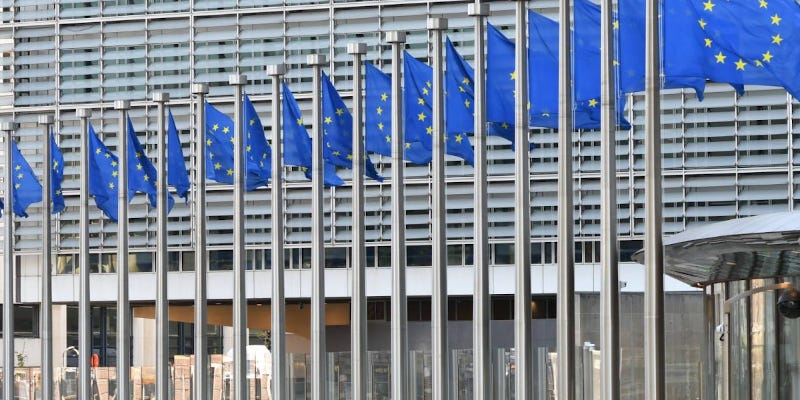 European Commission says ‘no’ to forest credits in the ETS until after ...