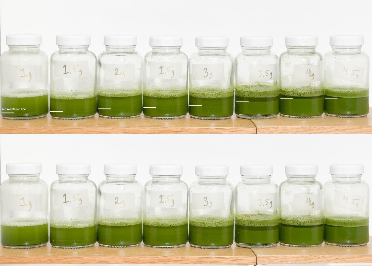 Best Batched Matcha Ratio for Cafes (Tested): How to Reduce Separation ...