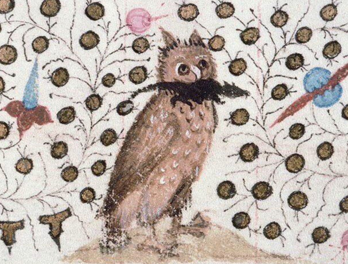 10 Medieval Owls for Your October - by Dr Lacey Bonar Hull