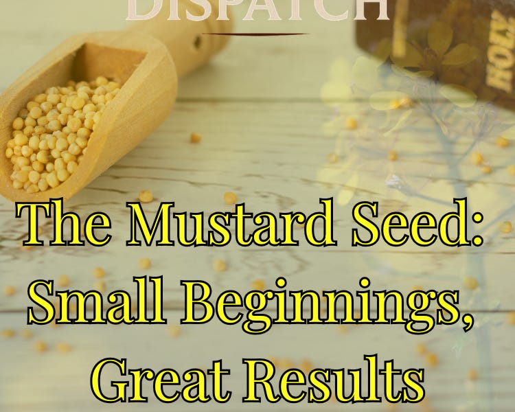 🌿 The Mustard Seed - by William Frick - The Sword Dispatch
