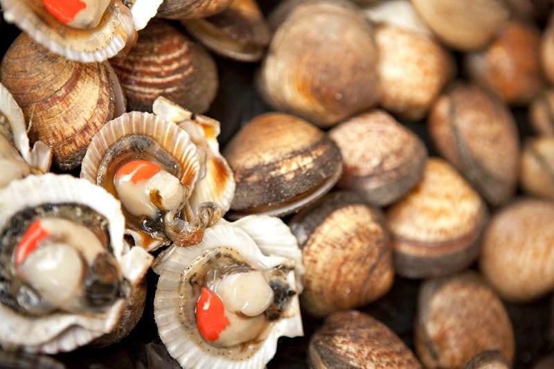 Emerging Issues in Food Safety - by Karen Constable