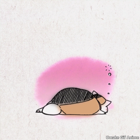 Omake Gif Anime - Natsume Yuujinchou Roku - Episode 7 - Nyanko-sensei ...