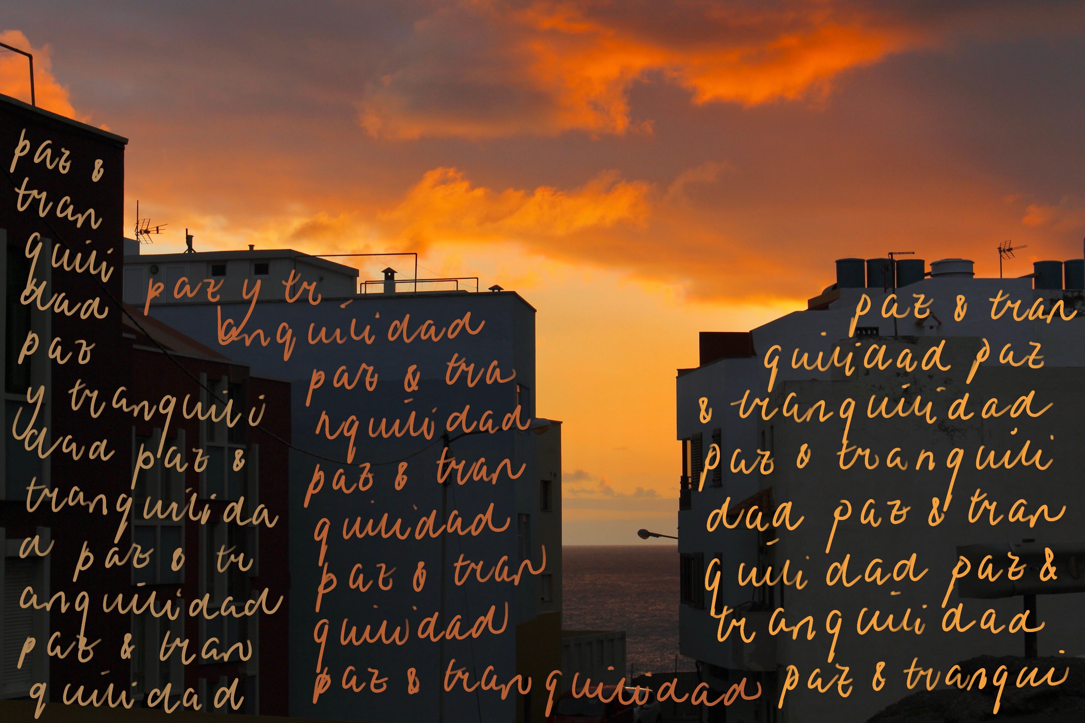 Mijn thema voor 2026 is bekend & het is… *tromgeroffel* …Paz ...