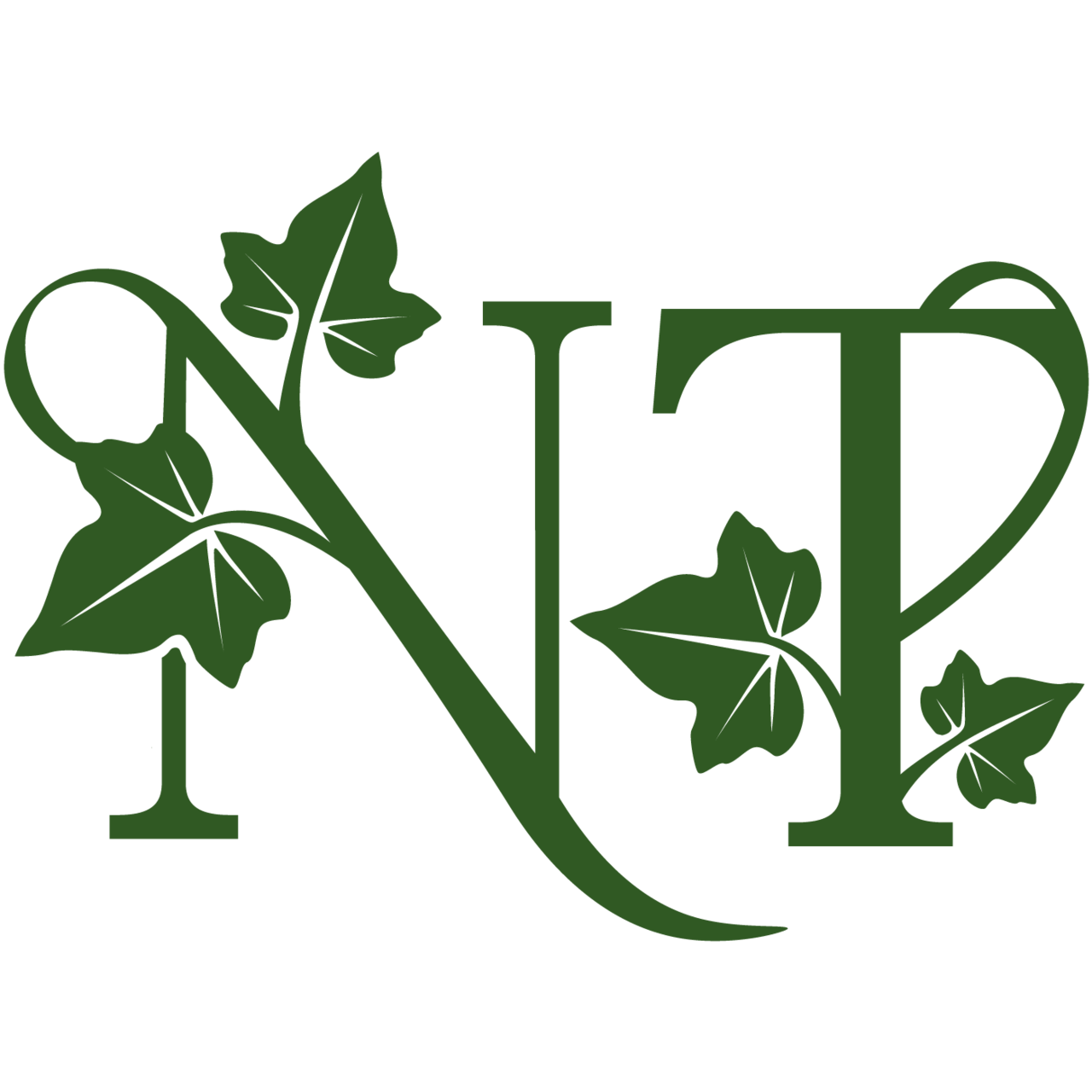 IanQuest Substack by Ian Campbell | Insights from Sidestack - Sidestack.io