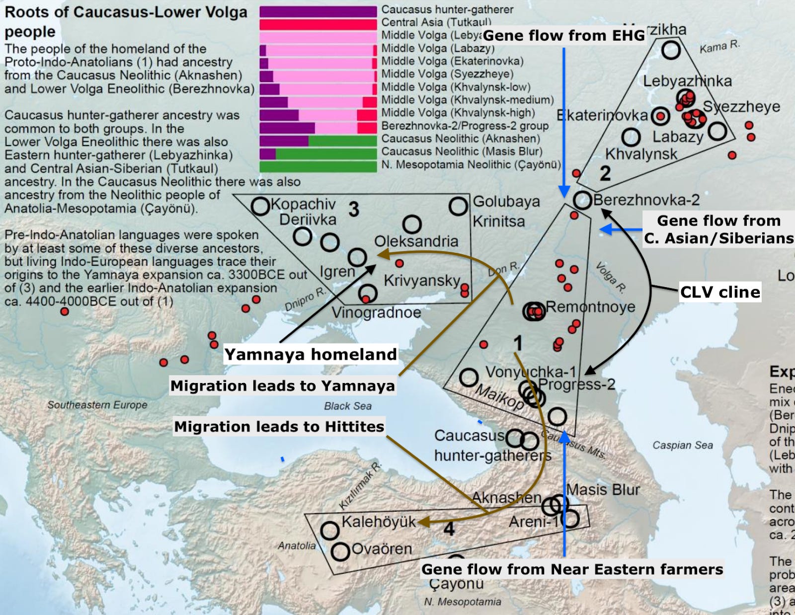 We are what we speak: Indo-European phylogenetic and linguistic trees ...
