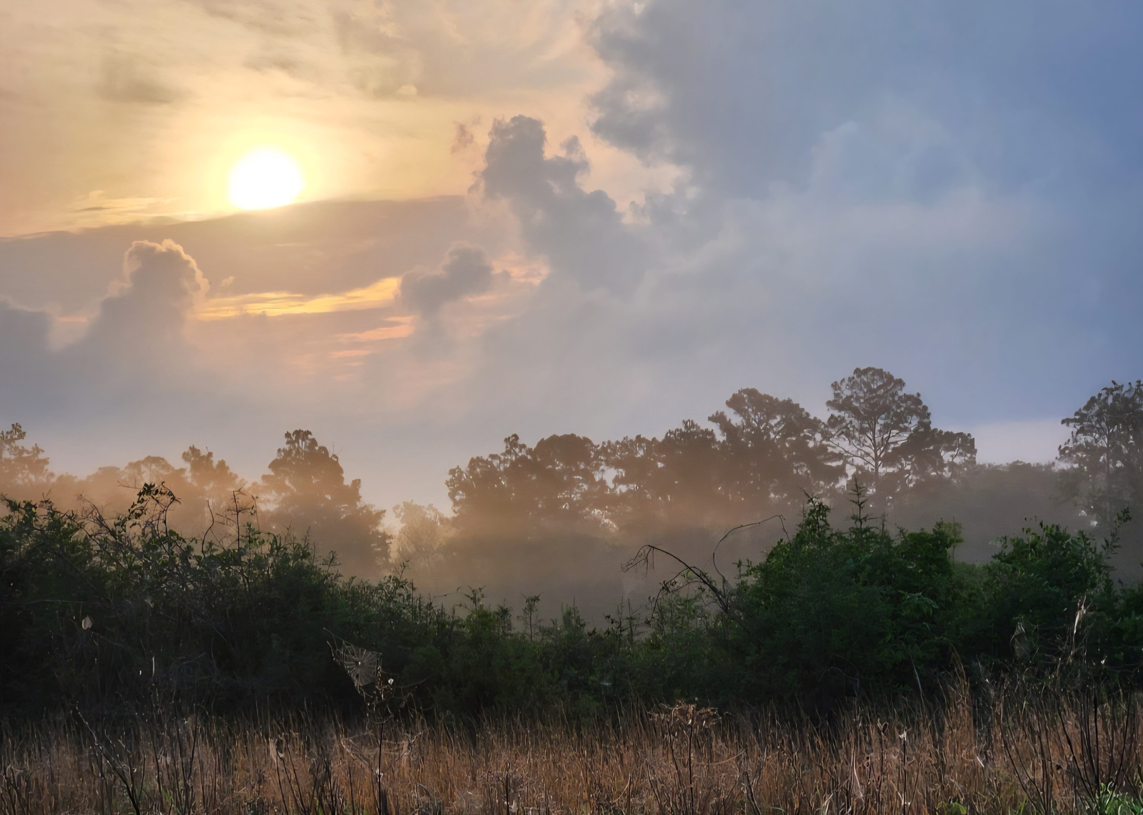 Val Webb (@valwebb): "“We were never cast out of Eden. We merely turned ...