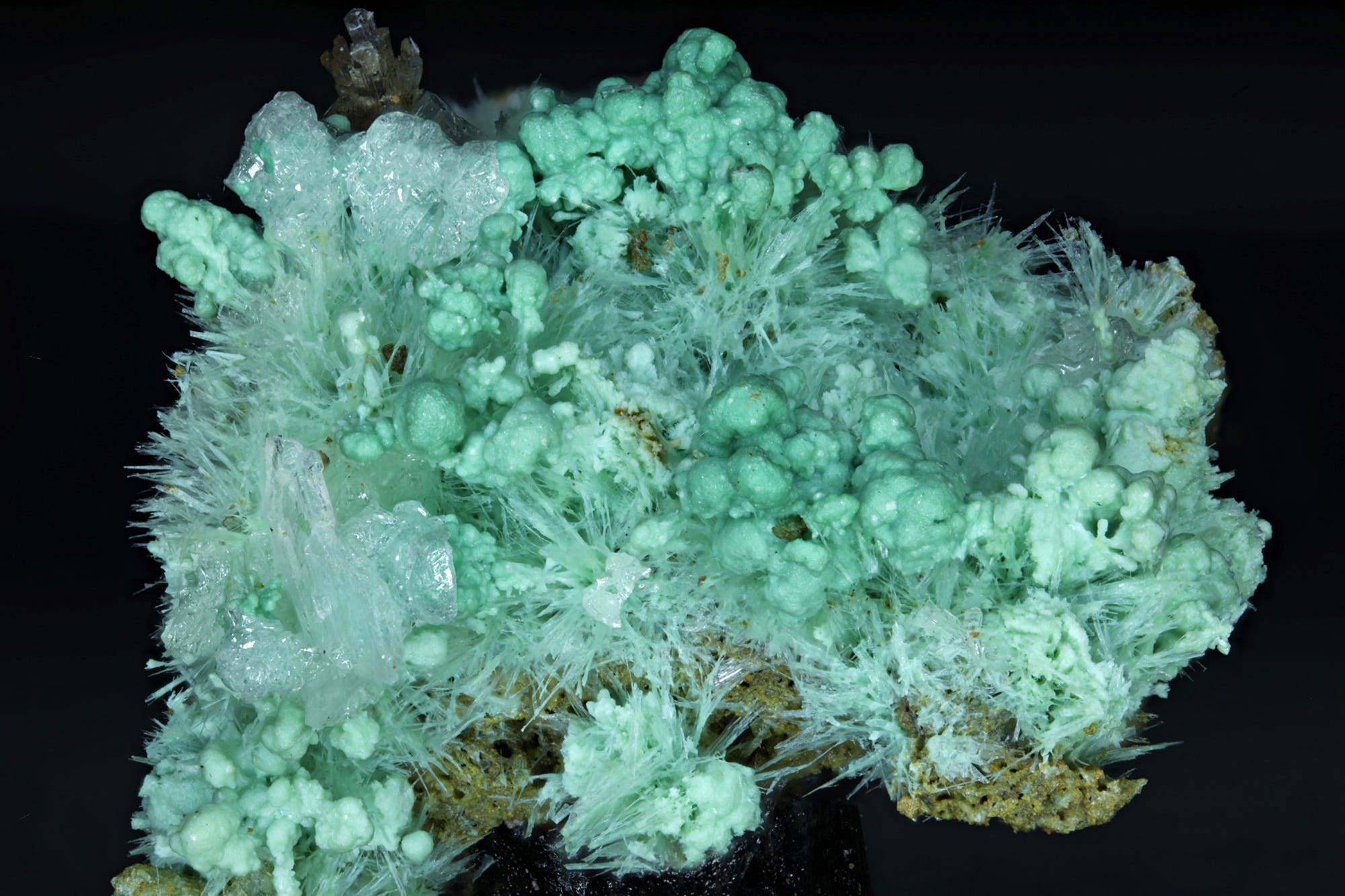 Copper and Zinc Secondaries, Evelyn Mine - by Steve Sorrell