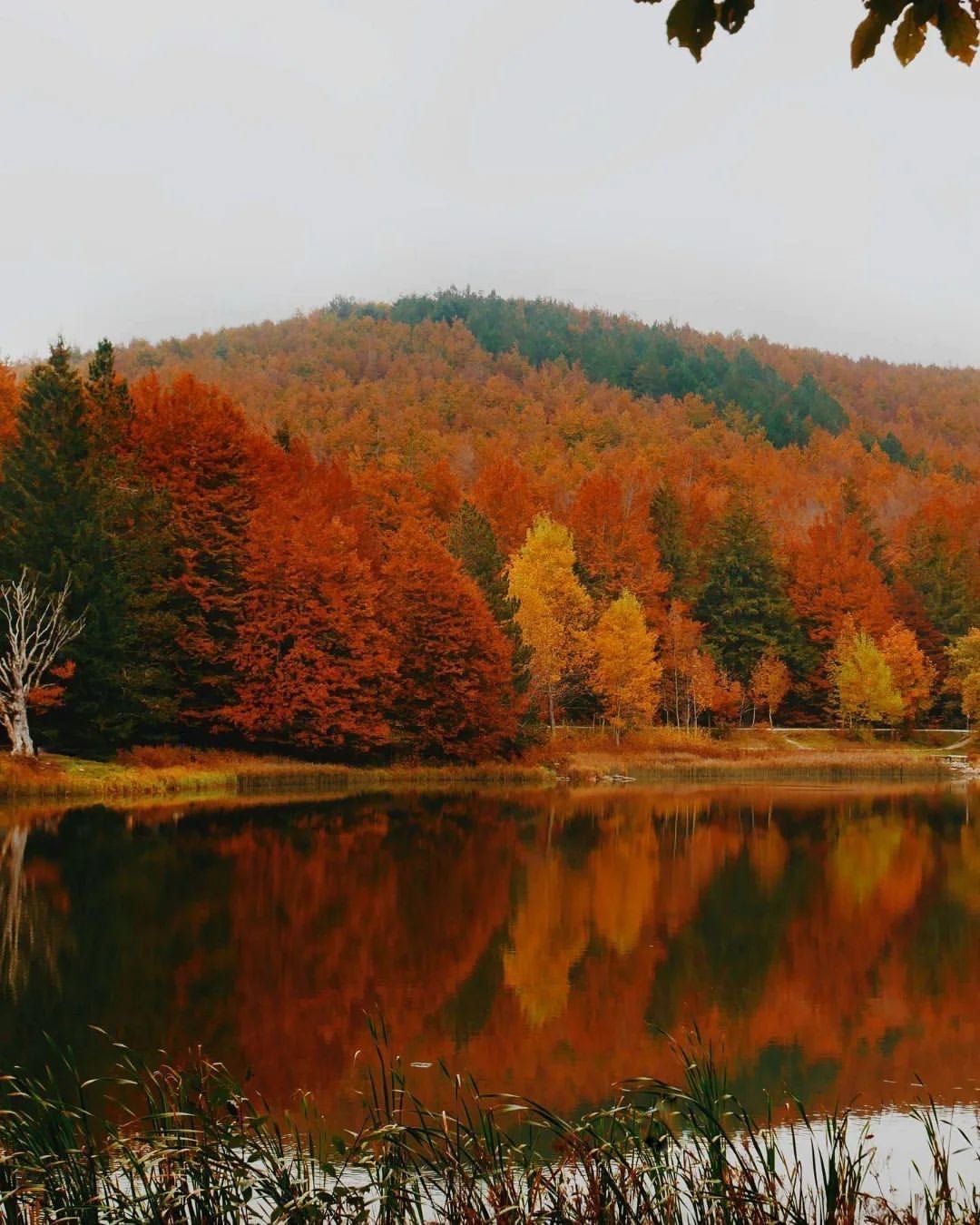 lüften- the cozy german fall ritual you need this season