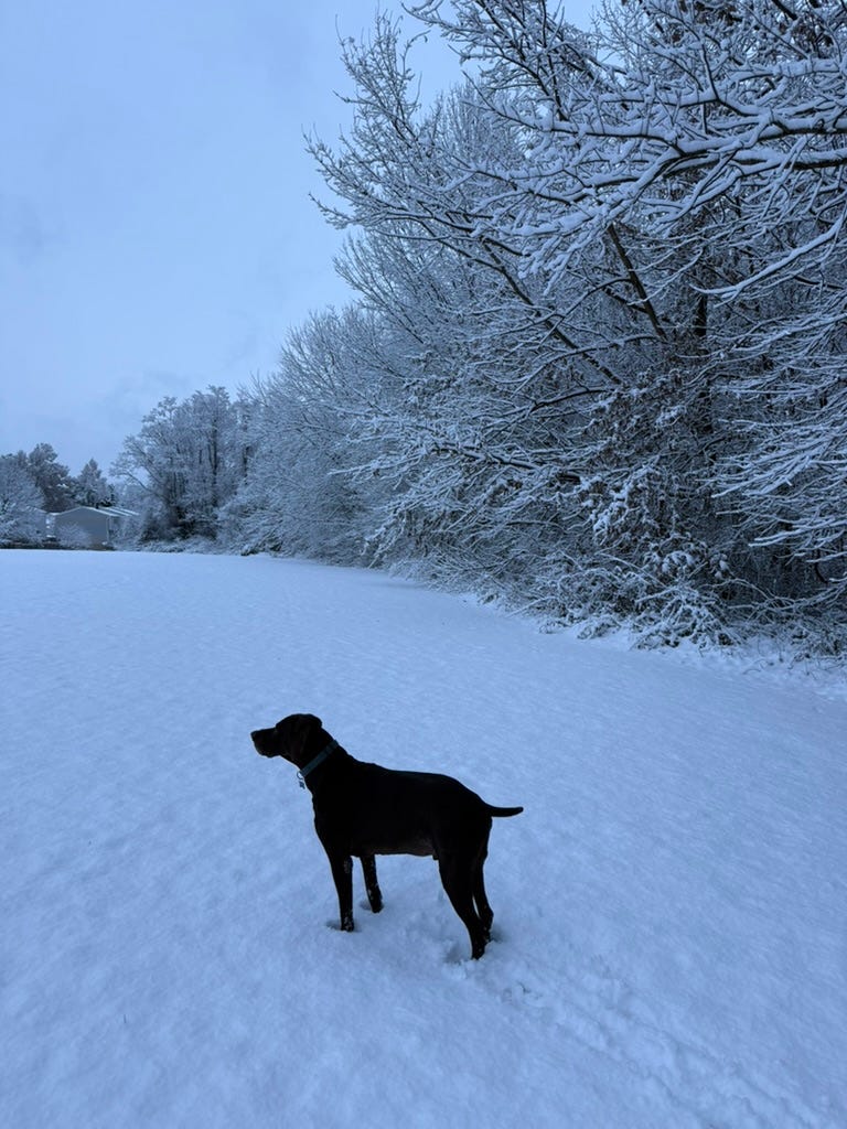 Waiting Well, With Joy and Play - by Bethany Peck