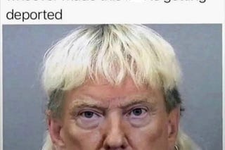 The Zed Letter | Tyler Zed | Substack