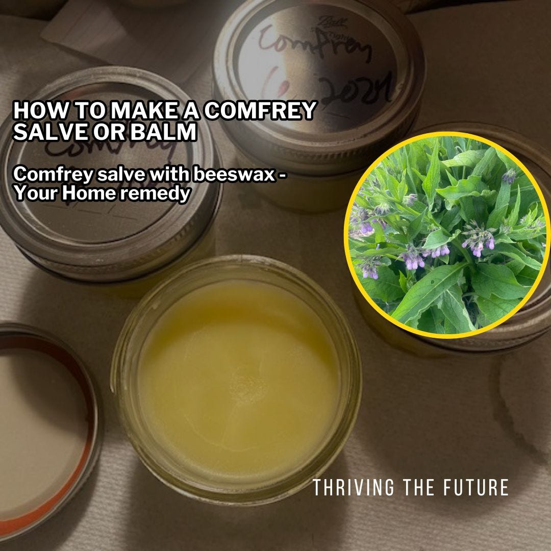 How to make a comfrey salve