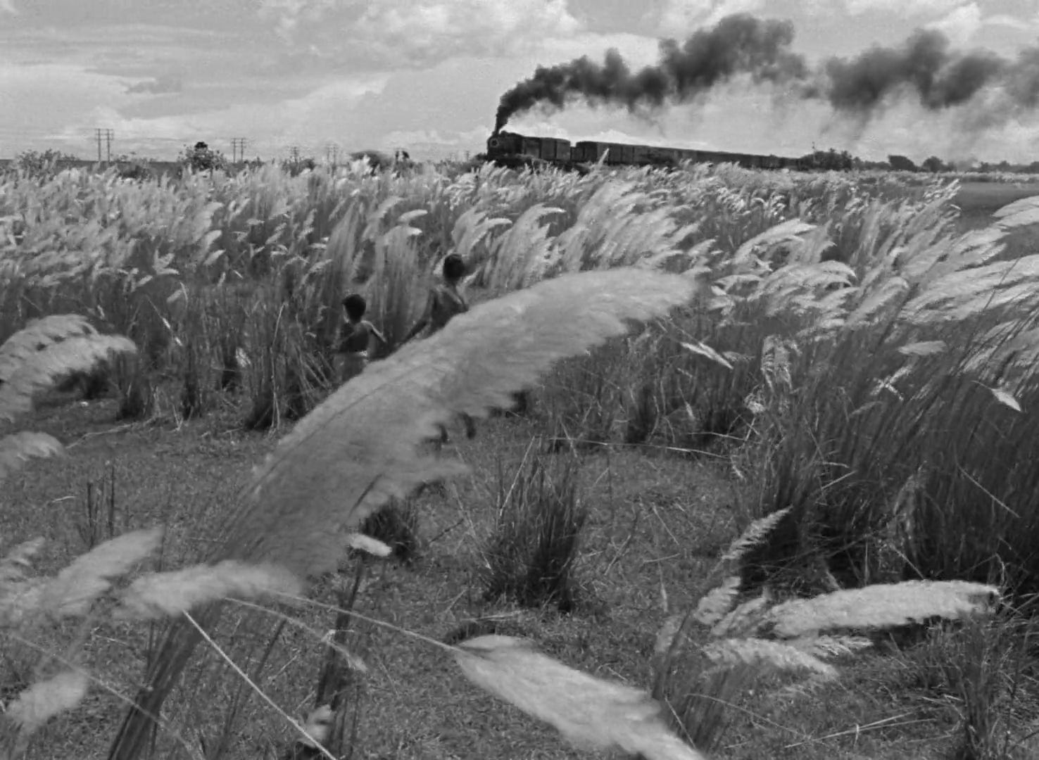 The Apu Trilogy, by Satyajit Ray - by Will Ephlin