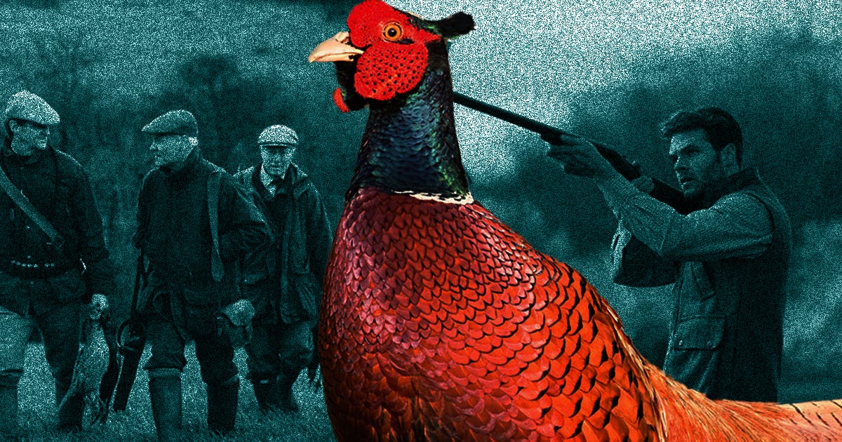 500 pheasants a day: billionaire's Wiltshire shoot raises all sorts of ...