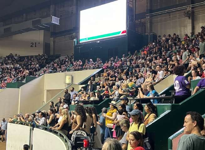 Textile Center rewards creativity at the Minnesota State Fair Llama ...