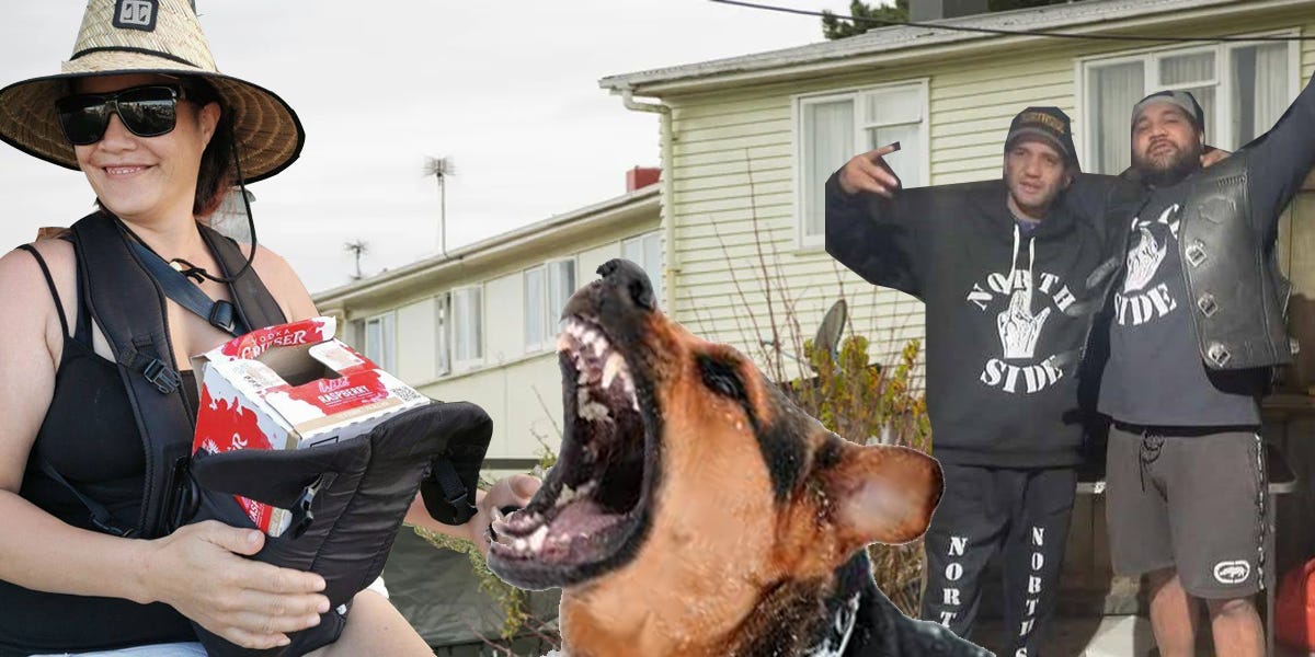 Entitled mum of seven blames Māori discrimination for her anti-social ...