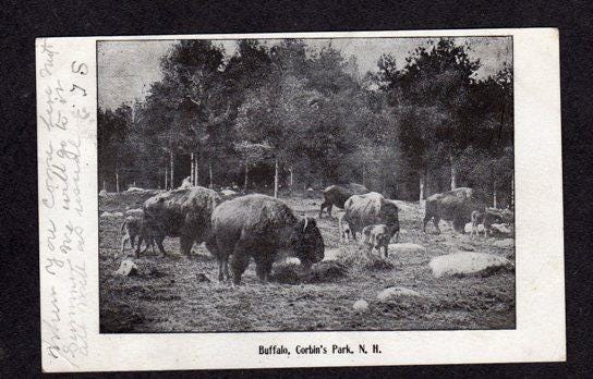 A Comprehensive History of Corbin Park - August Longpré