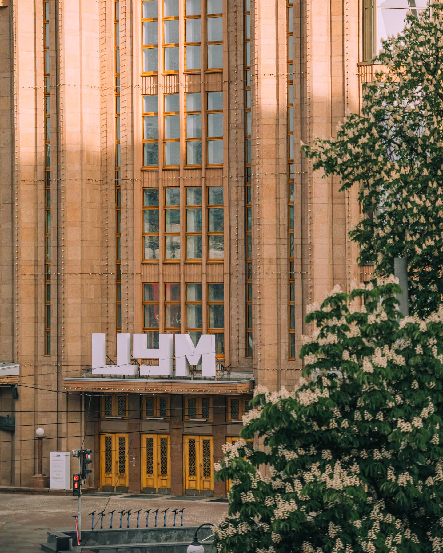 How chestnut trees became a symbol of Kyiv