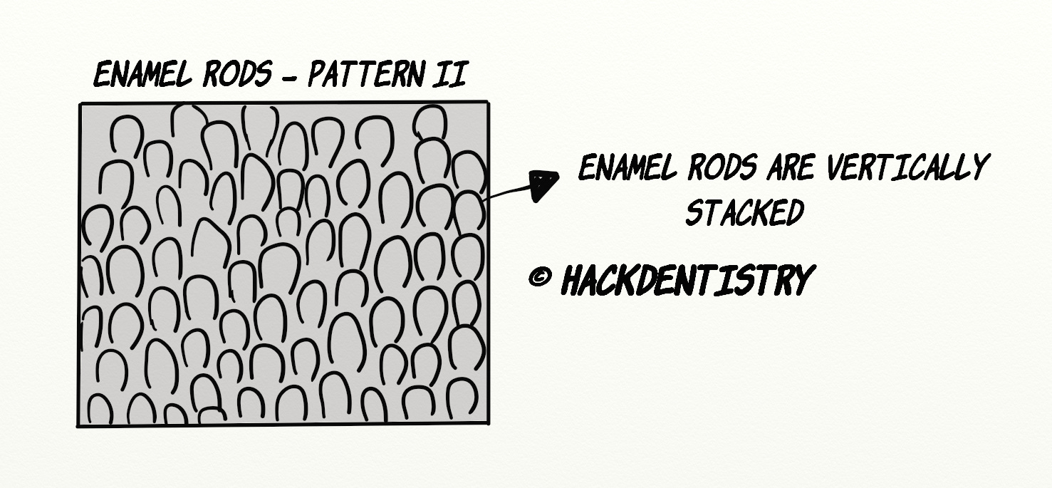Structural features of enamel (Note) - HackDentistry