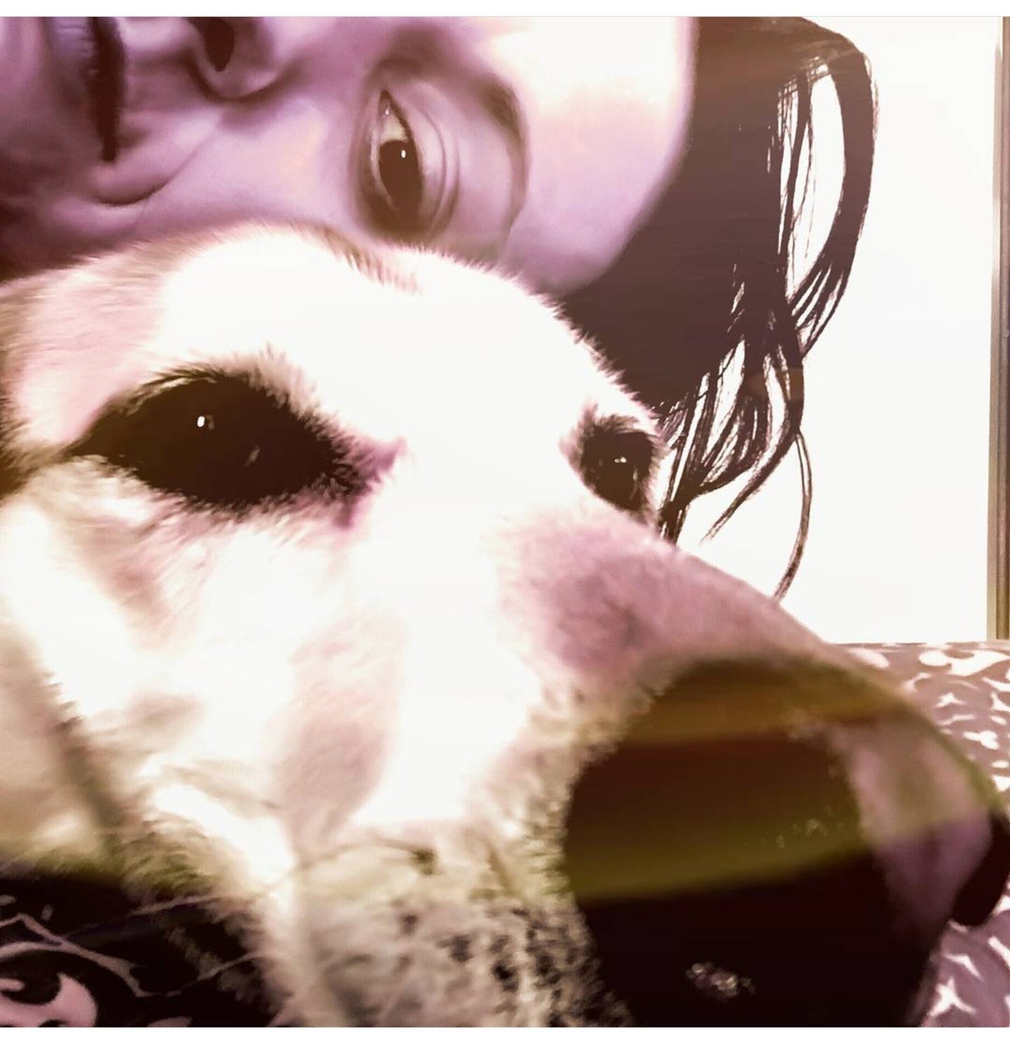 melanie ann martin | Substack