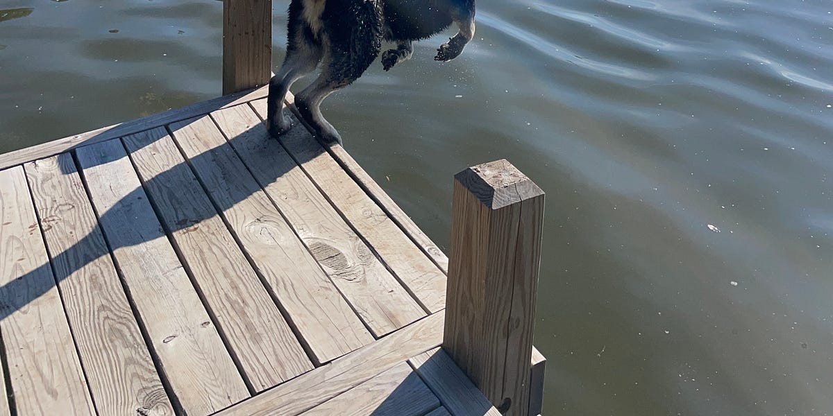 Dog Joy (Eli version) - by J. F. Riordan