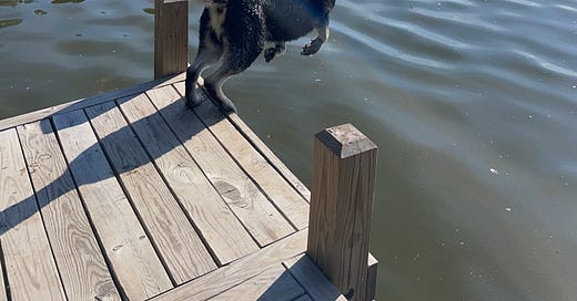 J.F. Riordan; Reflections on a Life in Exile | J. F. Riordan | Substack