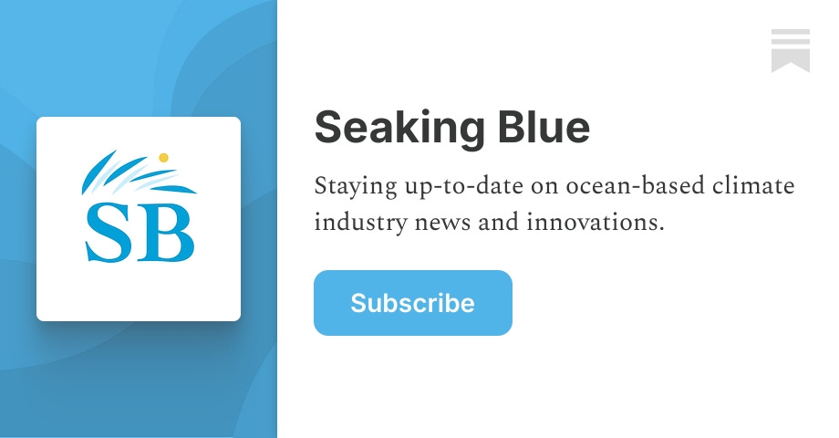 Seaking Blue | Delaney Demark | Substack