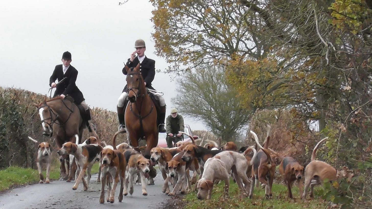 Protect the Wild purchase equipment for South Norfolk Hunt Sabs