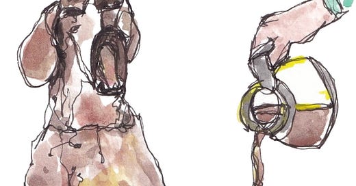 Fishbird Art and Nonsense | Jen Payne - Fishbird Central | Substack