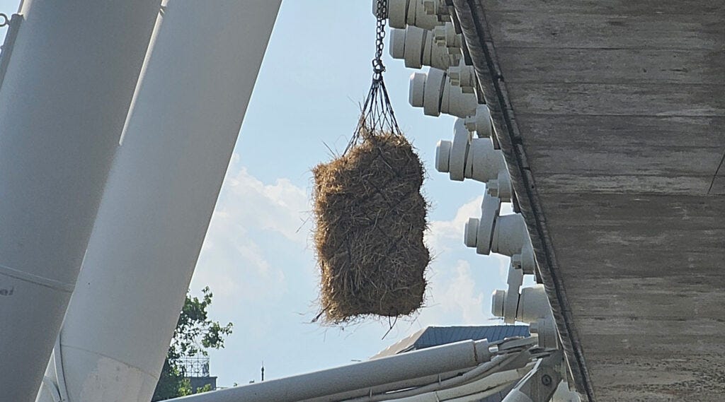 52 Things I Learned in 2025 - Kent Hendricks