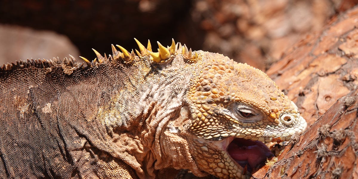 When the religious teacher in the secular Tel Aviv kindergarten taught ...