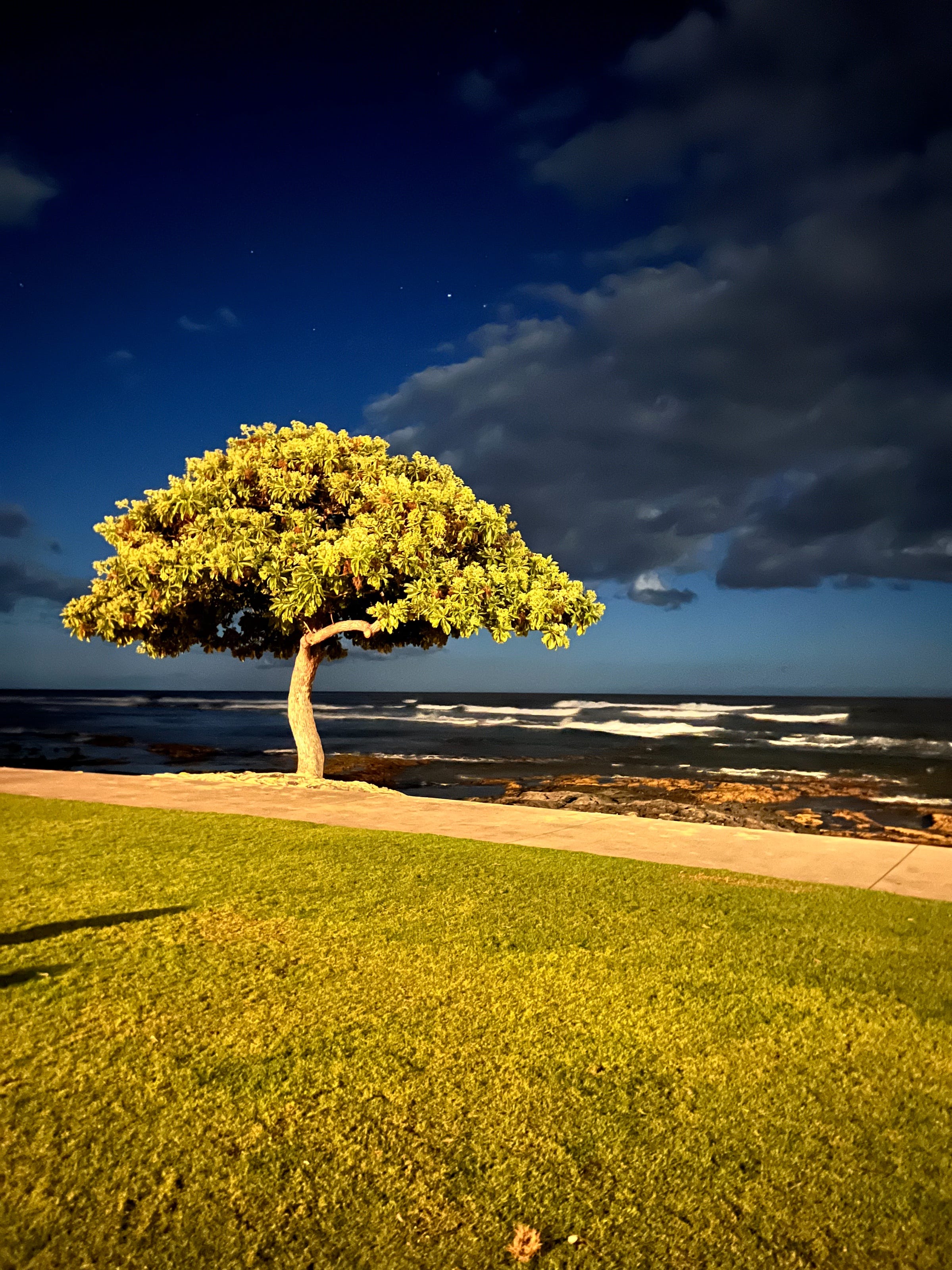 Human in an AI Age: Roots & Wings. - by Rishad Tobaccowala