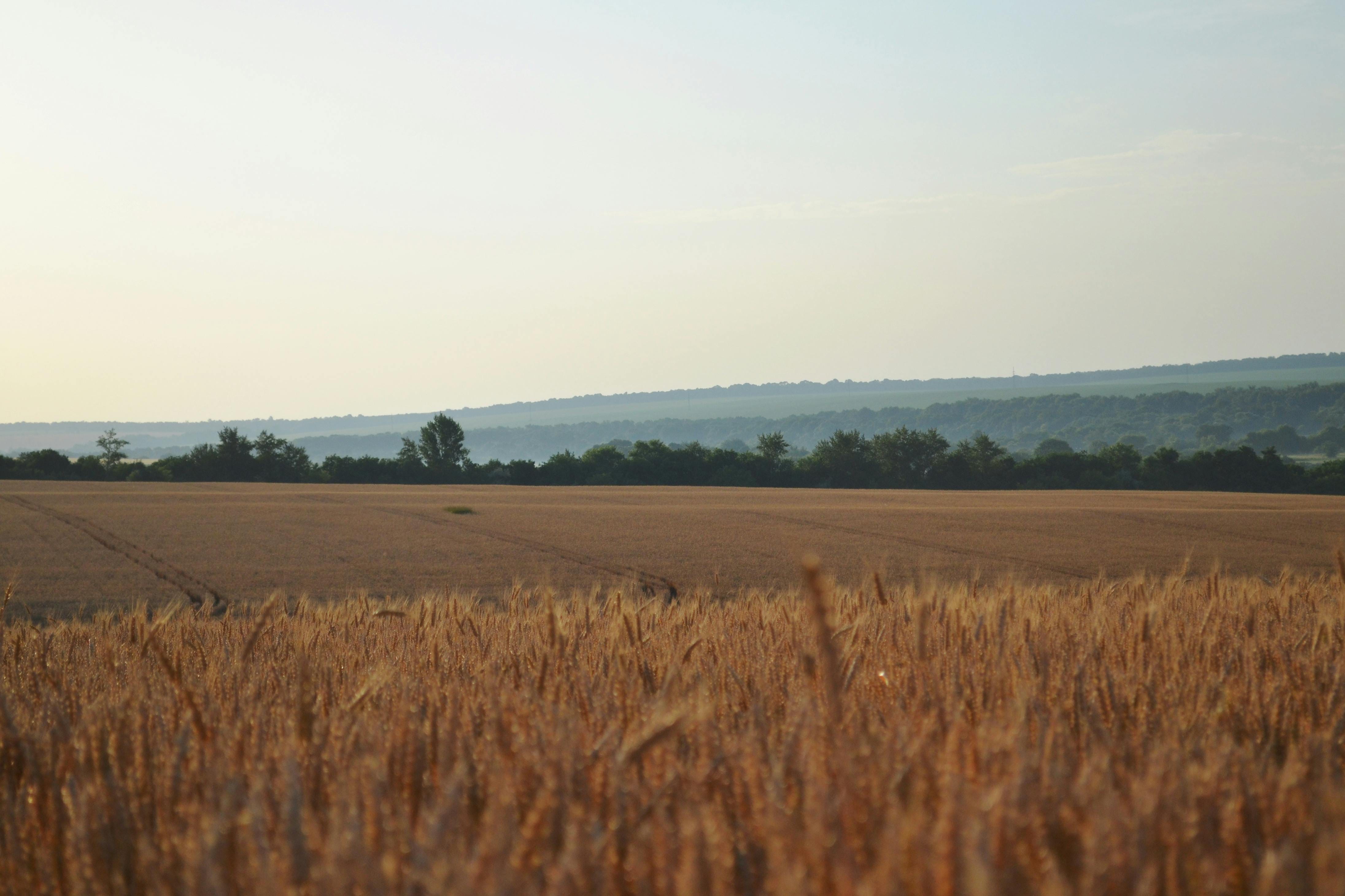 On Thresholds and Distance - by Richard Roman