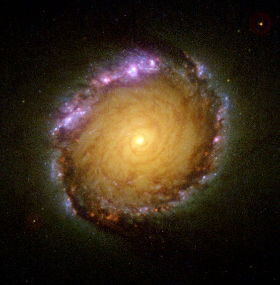 Universal-Sci Weekly (@universalsci): "Let's lay our eyes on the unique ...