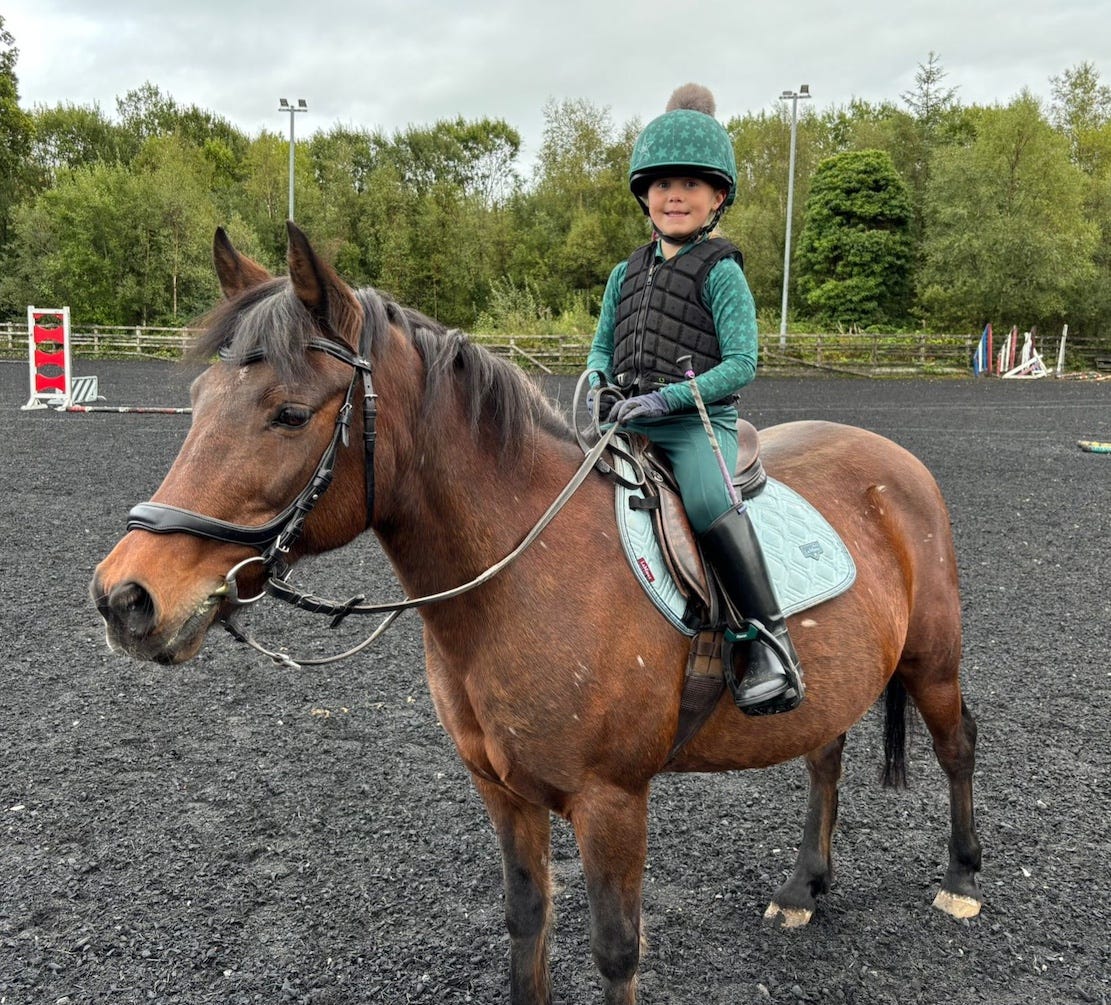 Record-breaking entries at Ecclesville - Horse&Field