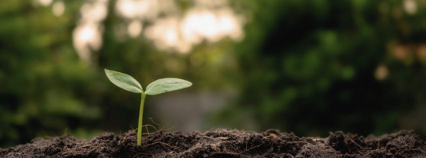 I Stopped Calling Myself a Victim—Here’s What Happened Next