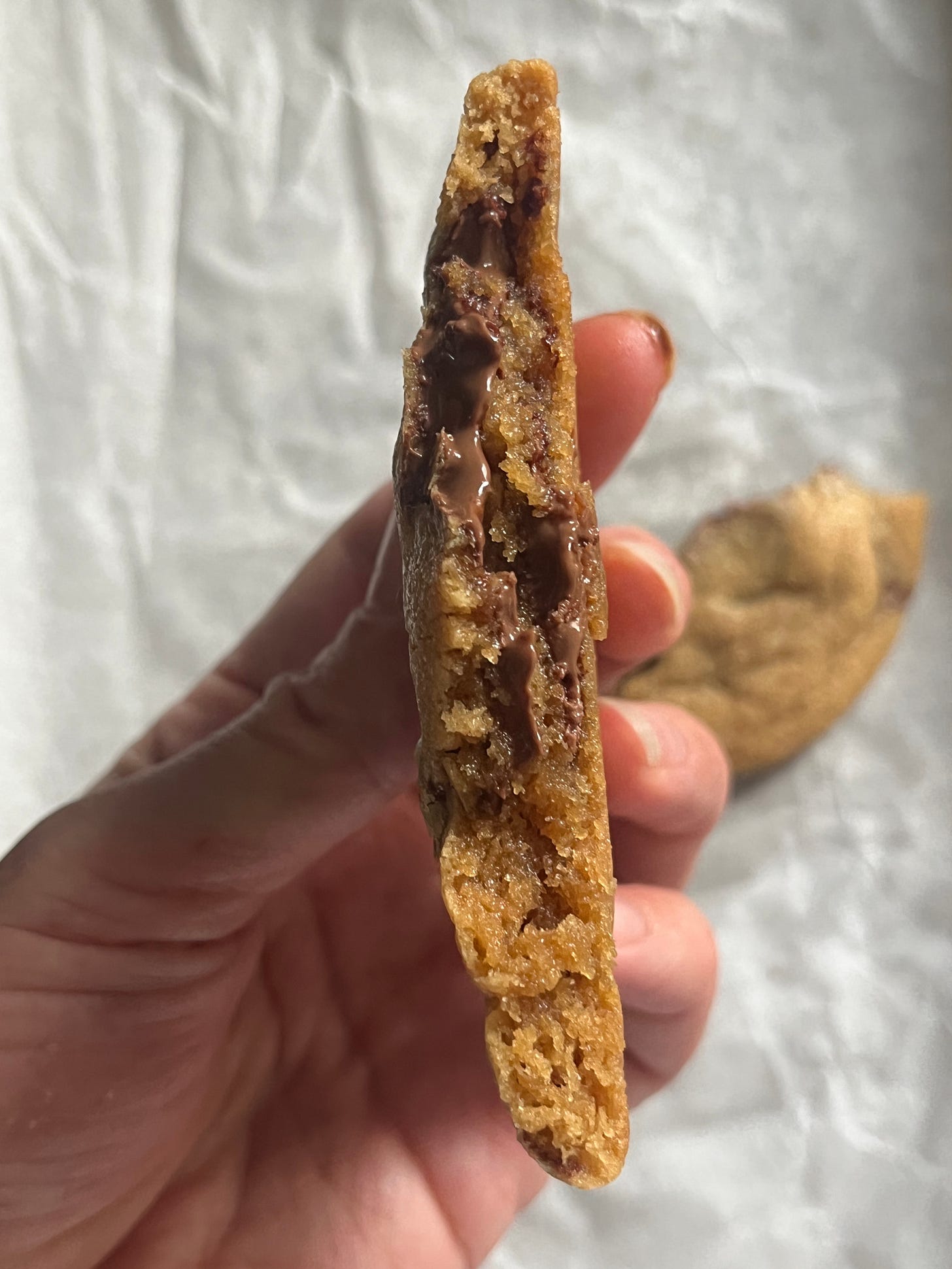 Kitchen Project #114: A Lesson In Cookies - by Nicola Lamb