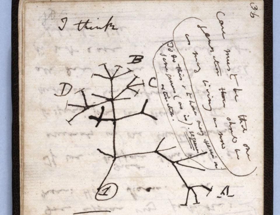 THIS IS HOW YOU TAKE NOTE - Why Your Notes Suck (And How to Fix Them ...