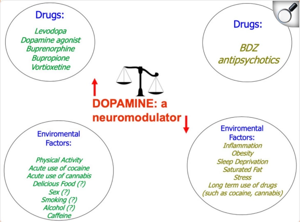 The Dopamine Cheat Code (That Scientists Just Discovered)
