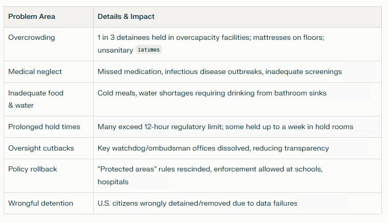 ICE Out of Control: A Moral Emergency in America’s Detention System