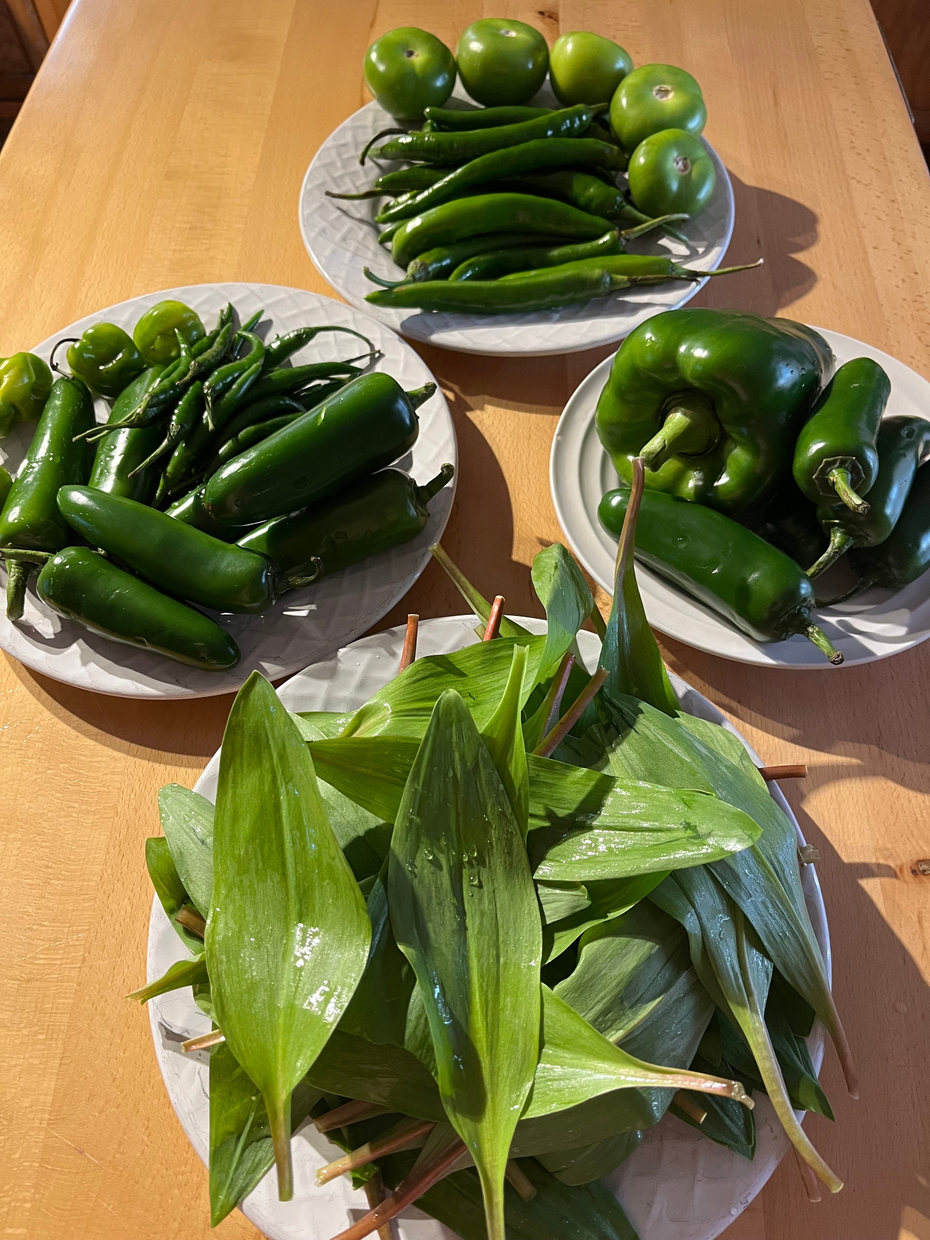 Raw Fermented Ramp Sriracha - by Gavin Mounsey