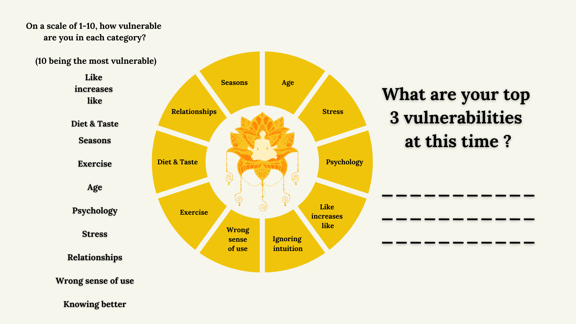 The Wellness Wheel - by Michele White