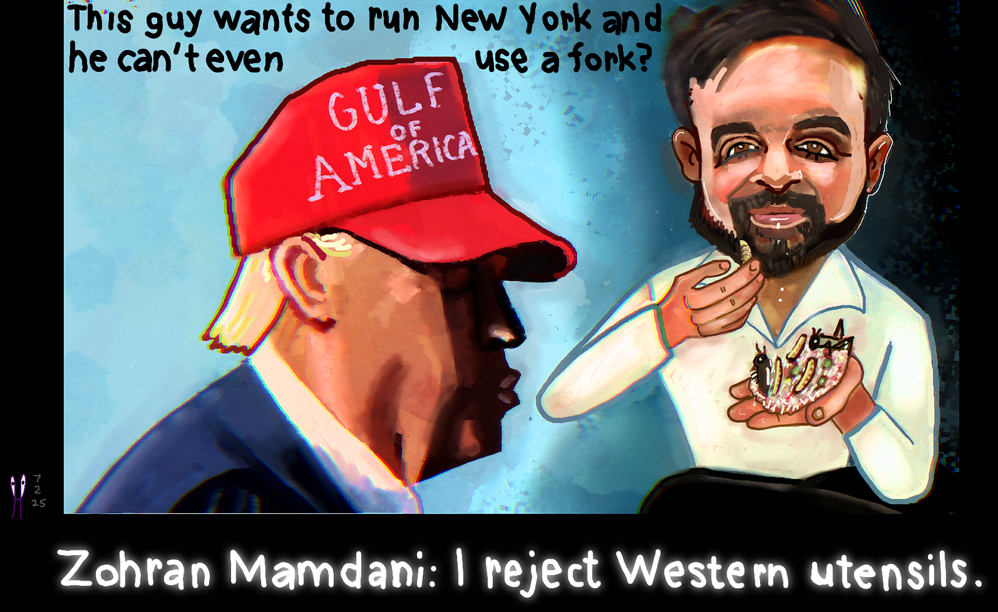 President Donald Trump Political Cartoon Zohran Mamdani