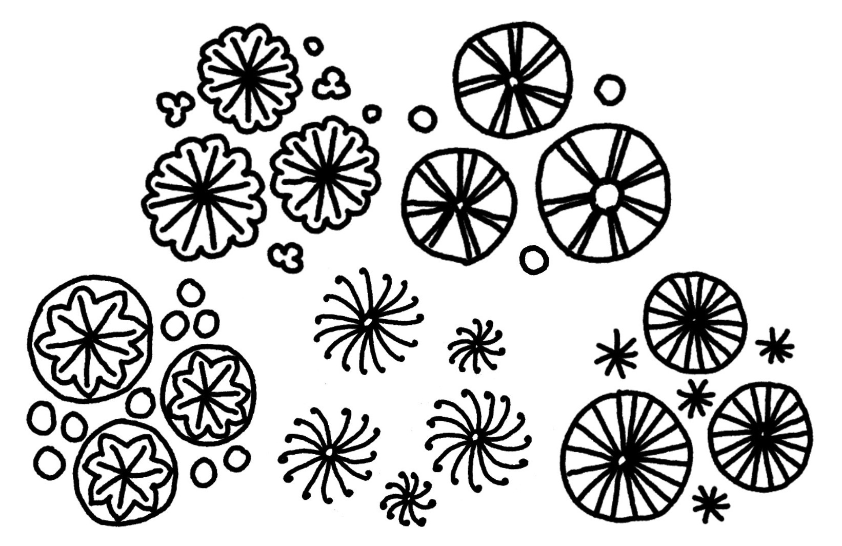 Poppy seed heads a perfect doodle inspiration for mindful drawing