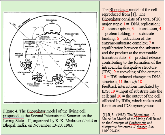 From Saddle to Torus The Geometry of Energy Transduction, Decision, and ...