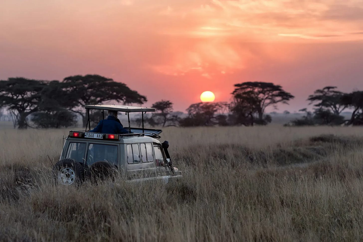 How to Plan a Safari Trip in Africa from Scratch